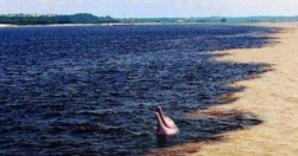 ¿Qué causa "el Encuentro de las Aguas" en Brasil?