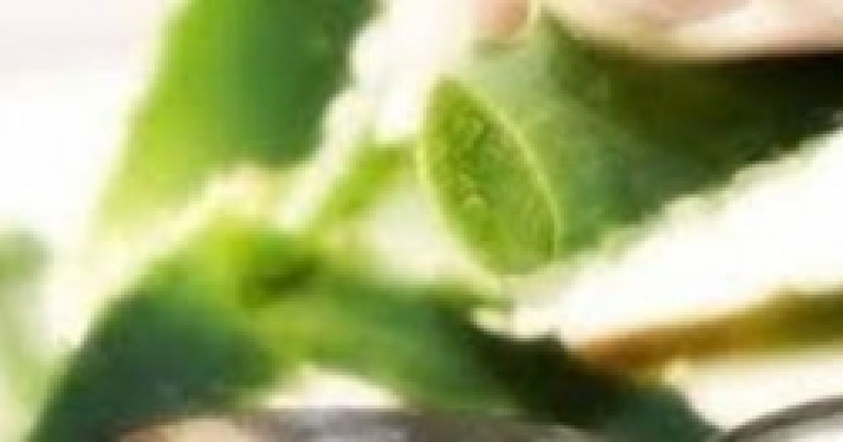 Bellezza con l’Aloe vera: la 'pianta dell’immortalità' della regina ...