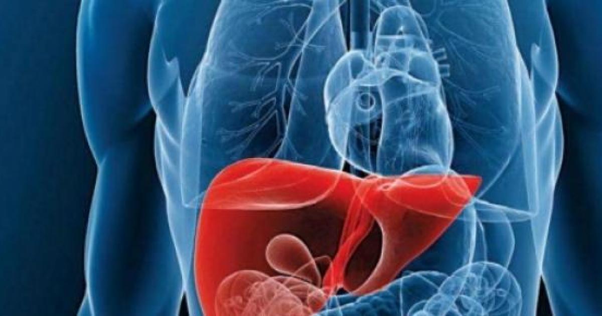El hígado es uno de los órganos más importantes del cuerpo, depúralo y ...