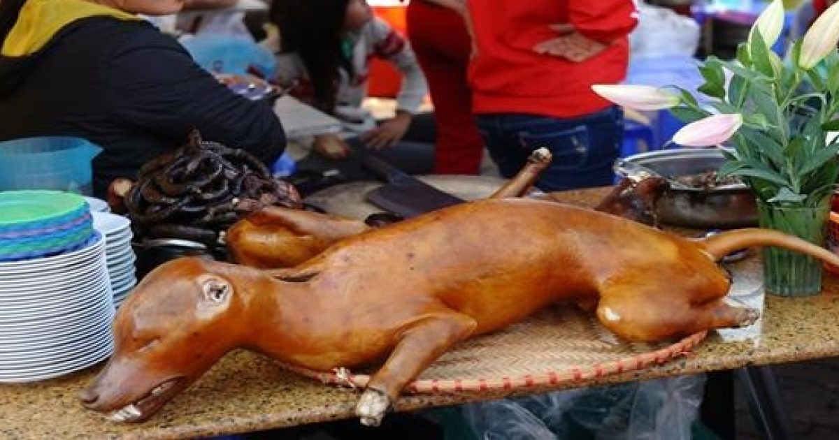 China e outros países asiáticos ainda comem carne de cachorro