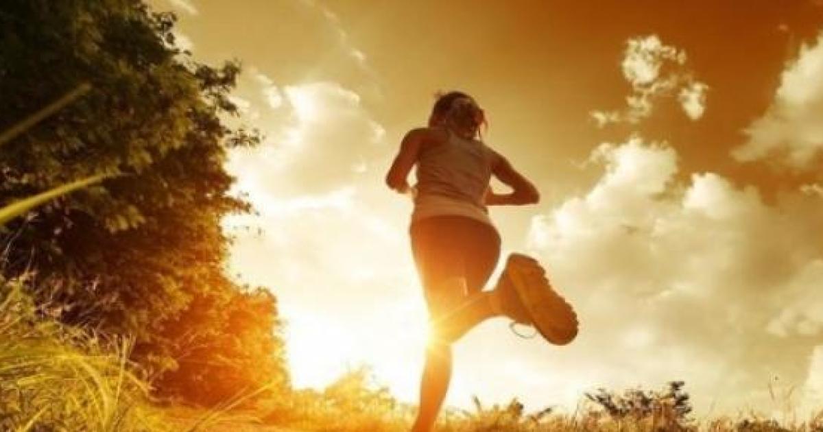 Studies show regular medium-intensity exercise to improve memory and ...