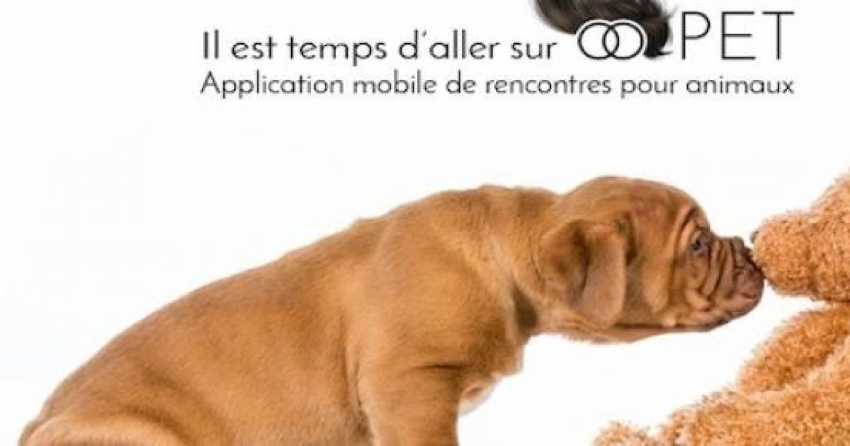 Oopet love, le réseau social pour animaux.