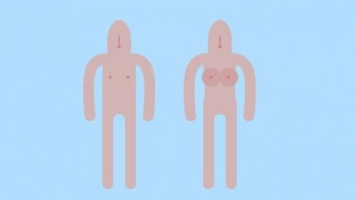 Cosa significa queer? Molto più di omosessuale