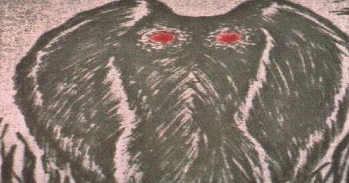 News alieni 2015: essere umanoide avvistato in Argentina, la polizia ...