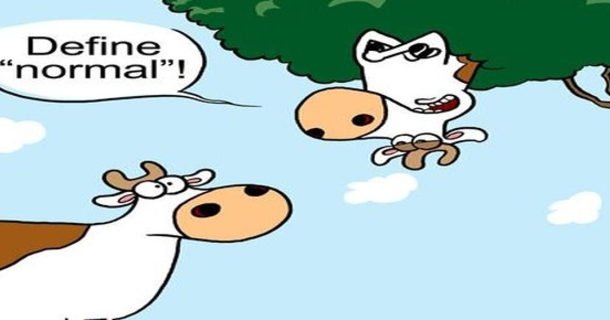 ¿Qué quiere decir que algo sea 'normal'?