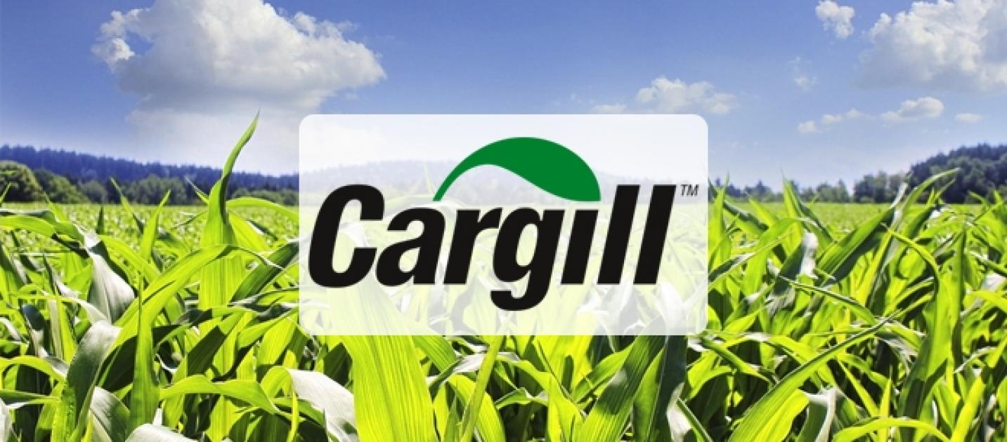 Cargill tem quase 1.000 vagas de emprego abertas