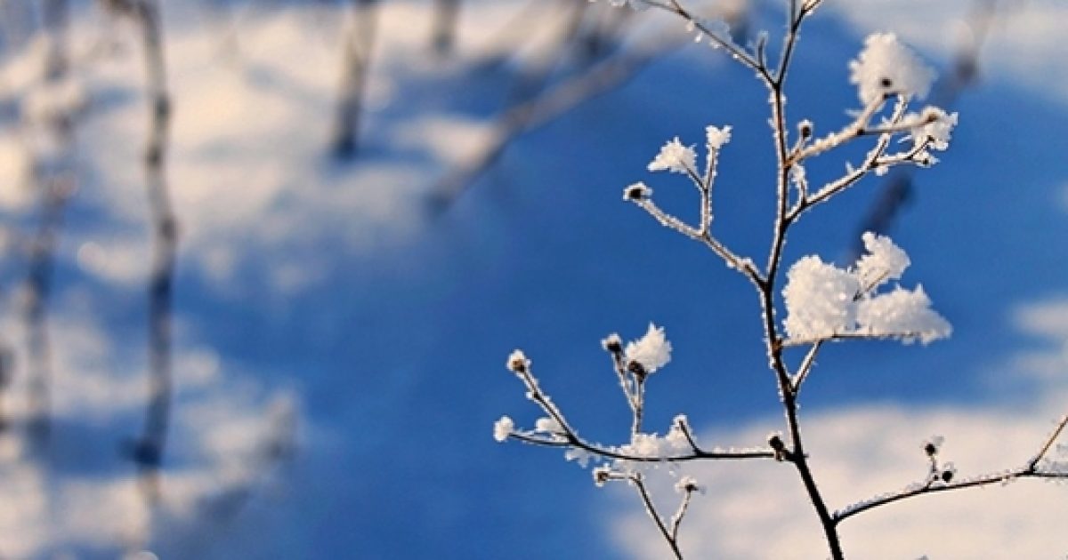 Quando inizia l’inverno 2016: data solstizio e festività di stagione