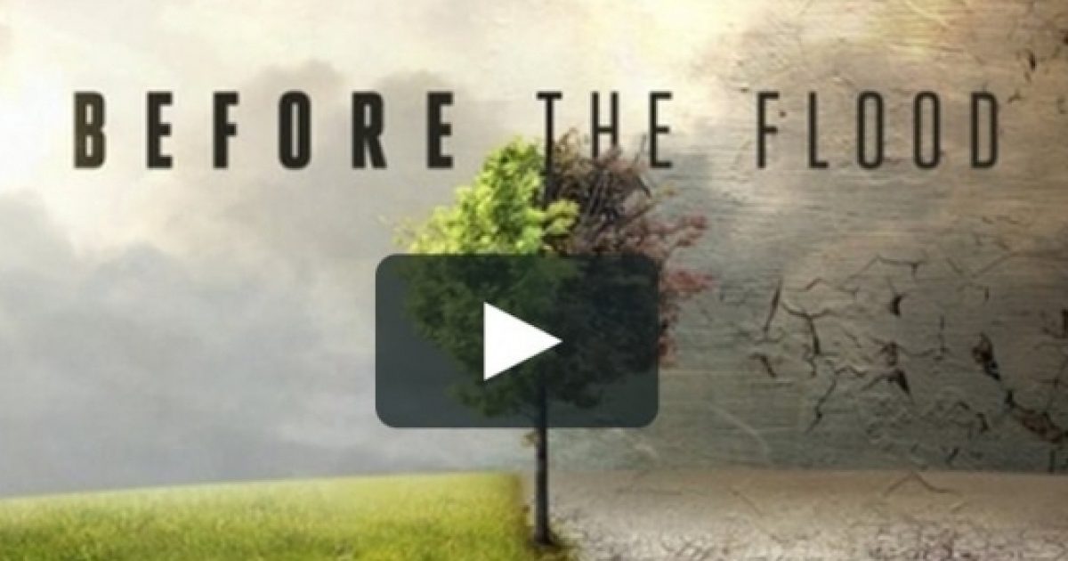 Before the flood, un llamamiento a la movilización mundial en favor del ...