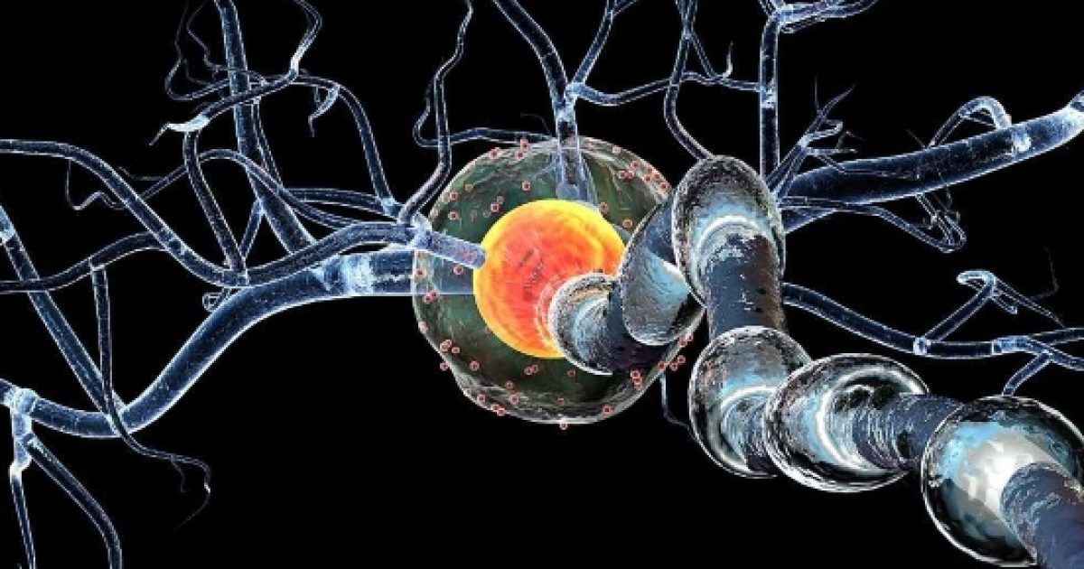 Novedades en la investigación de la esclerosis múltiple