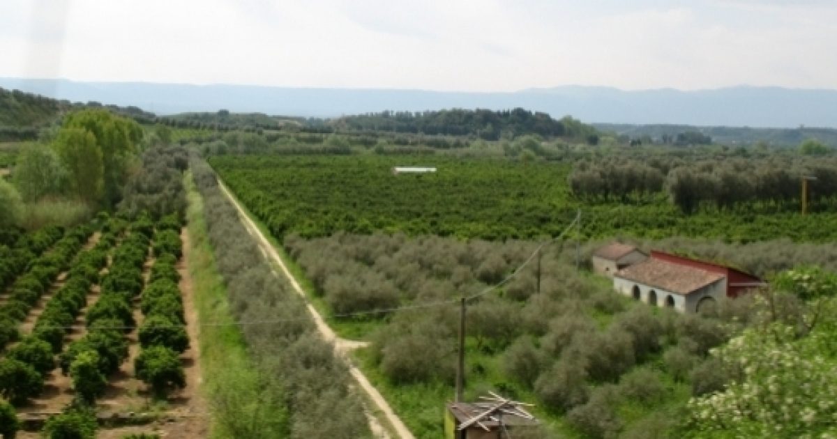 'Ndrangheta, arrestato il boss latitante Marcello Pesce