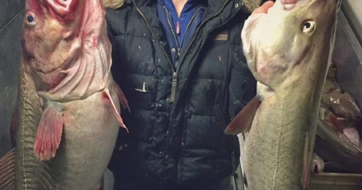 Russo cattura pesci mostruosi dal volto umano o alieno: le foto inquietanti