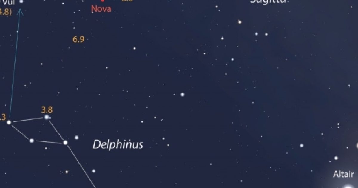 Rapid increase and decrement of the dust shell in nova V339 Delphini