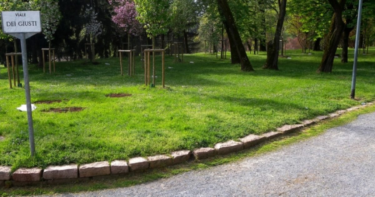 Il Monte Stella: tra i palazzi di vetro e cemento è sepolto un pezzo di ...