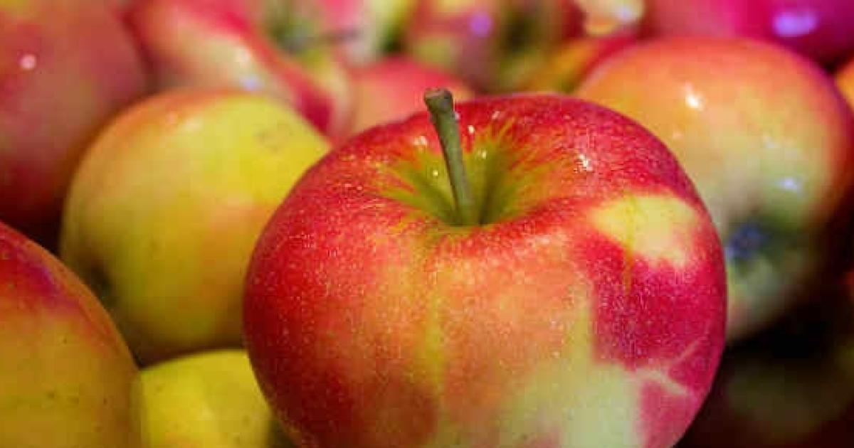 La mela: le proprietà e i benefici più importanti di un alimento ...