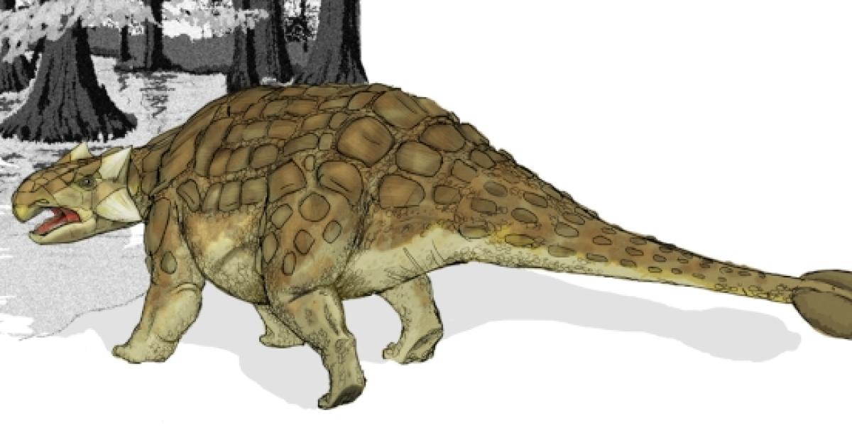DNA confirms Doedicurus was a Car-Sized, one-ton armadillo