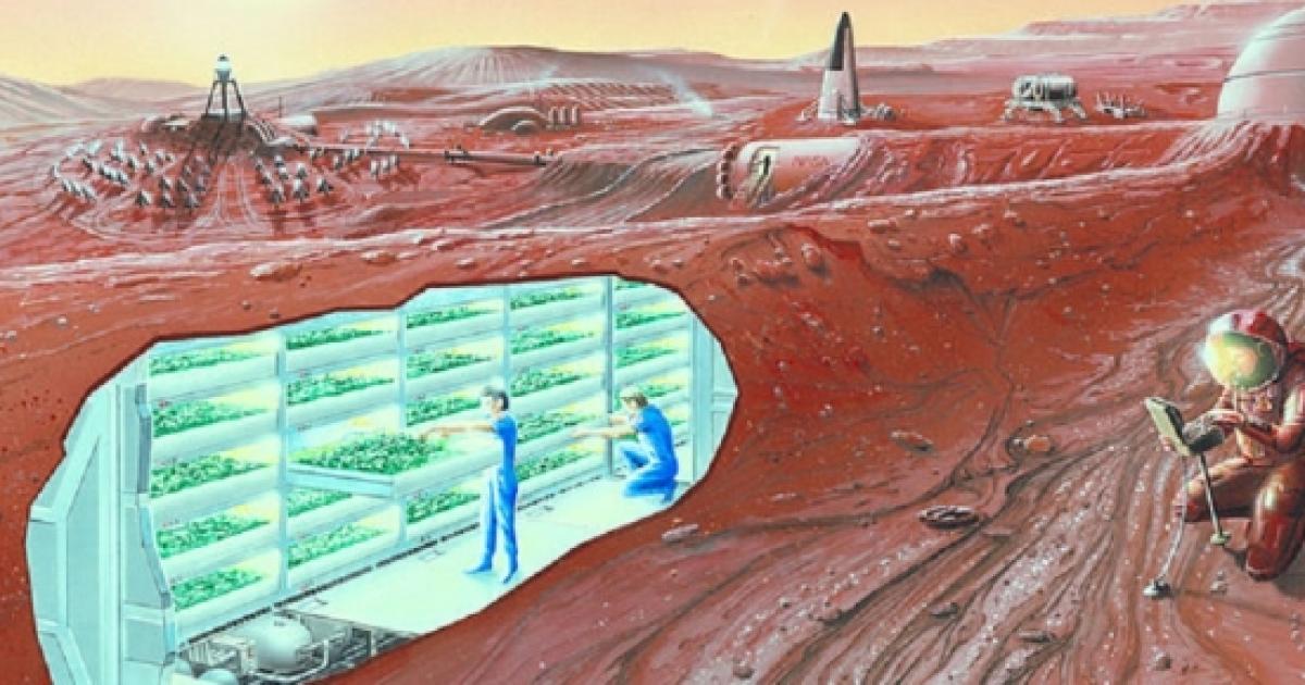 Dutch researchers grow crops in simulated lunar and Martian soil