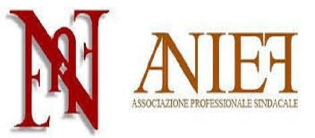 Ricorso Anief concorso scuola: inoltrate già 4.000 domande