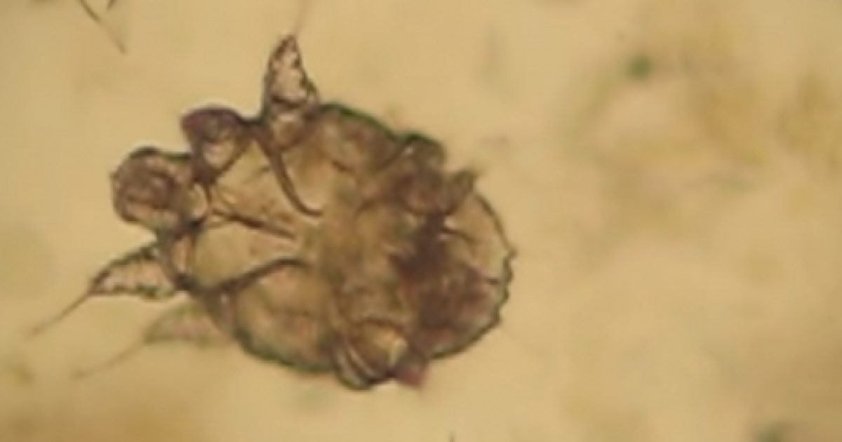 Verità dal Sindacato Indipendente della Polizia su sbarco in Sardegna ...