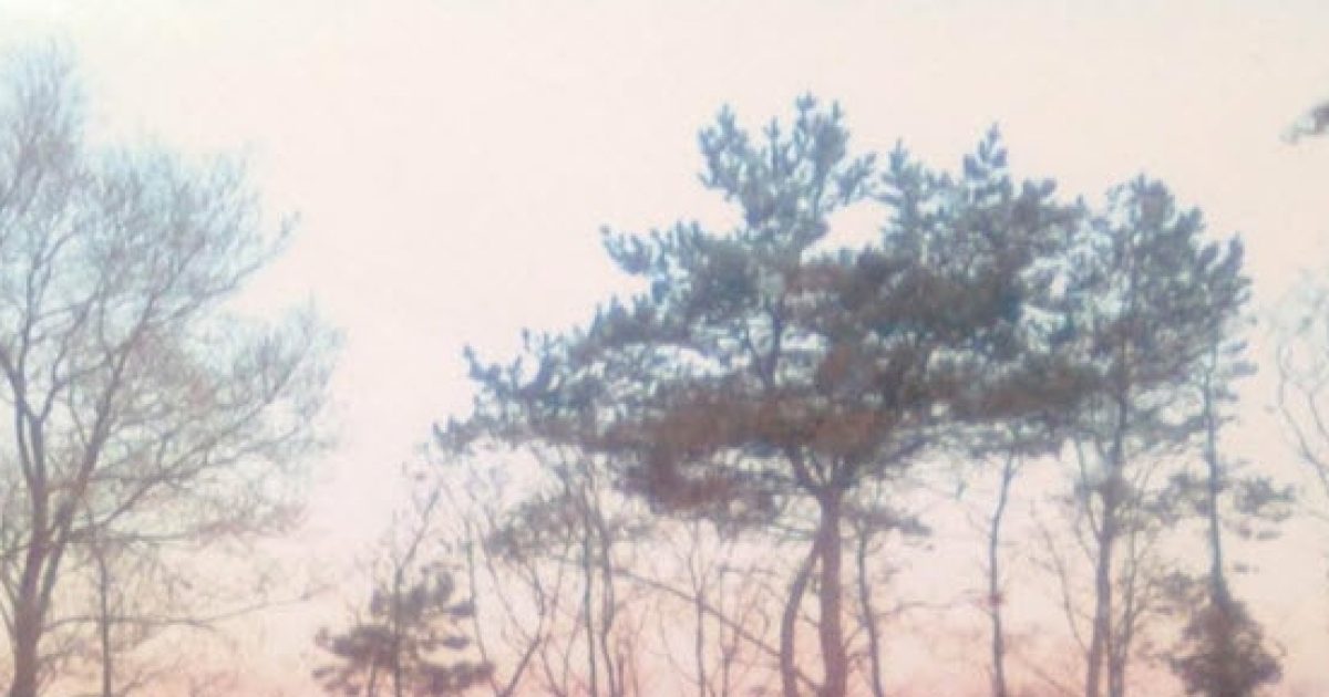 'Ho fotografato un alieno': la storia di Zed Khan