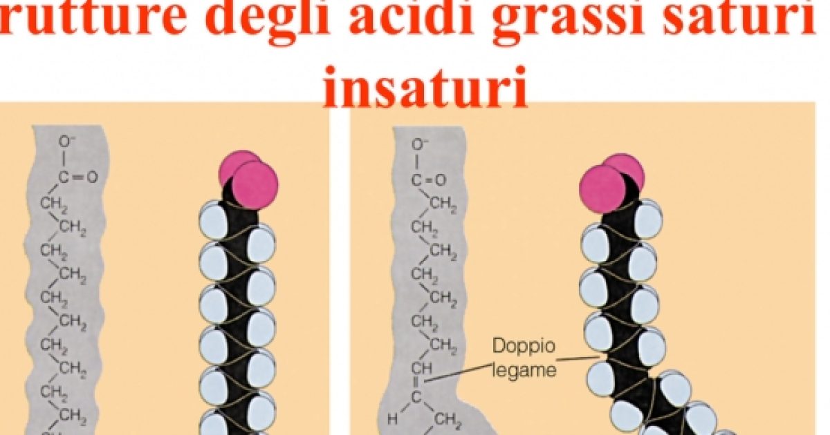 Quanti acidi grassi si possono assumere ogni giorno in una corretta ...