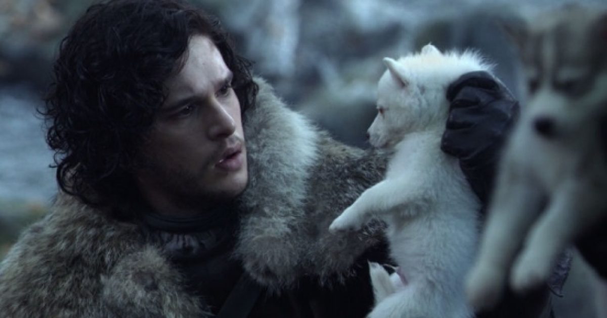 Game of Thrones: O que você deve saber sobre os 6 lobos da família Stark