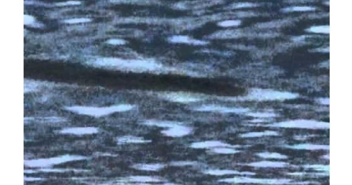 Is Selma the sea serpent alive and well in the lakes of Norway?