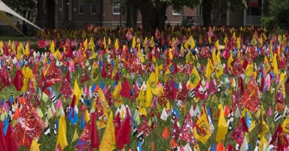 Interview with artist Elizabeth Knowles