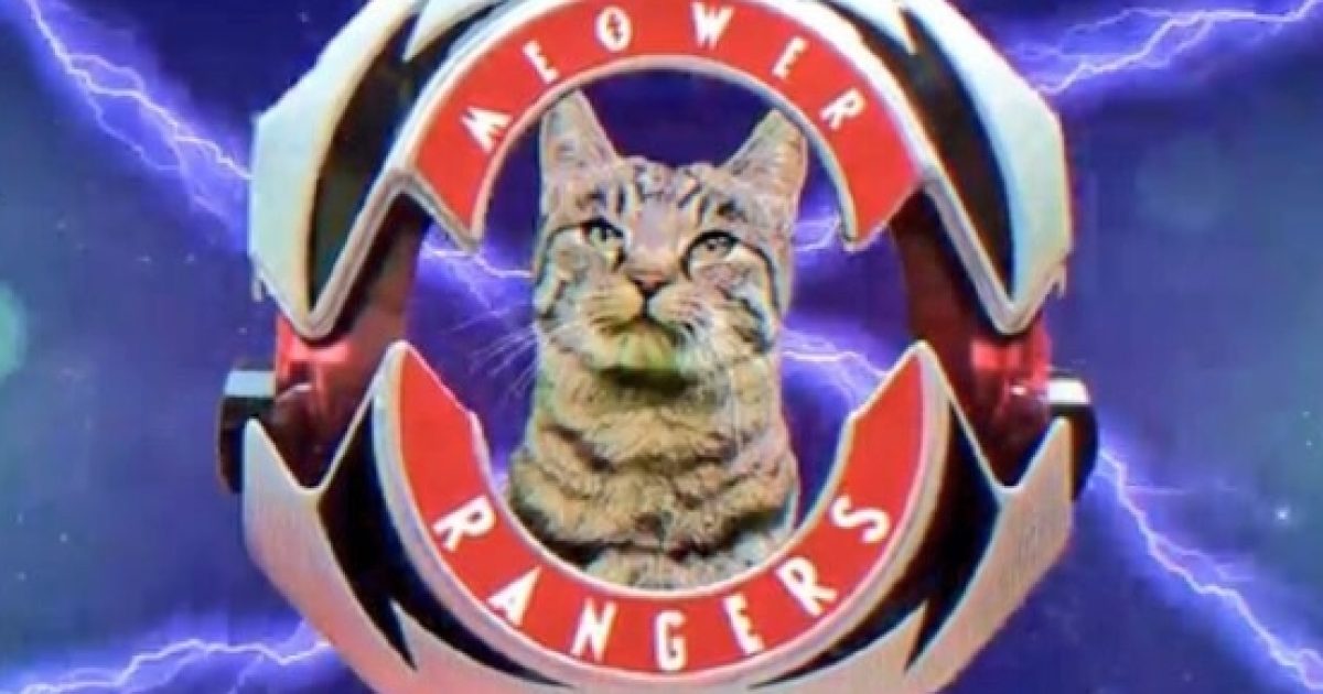 Introducing ‘The Mighty Morphin Meower Rangers’