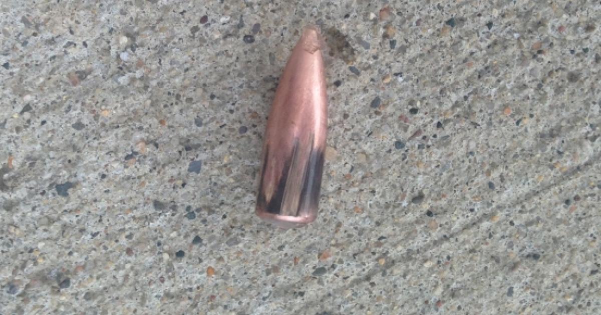 Stray bullets mostly hit women and children