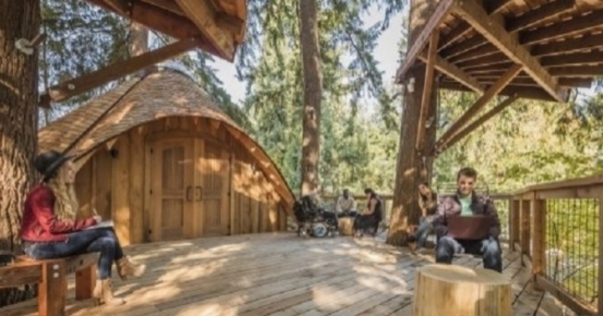 Microsoft builds treehouses for employees in Washington