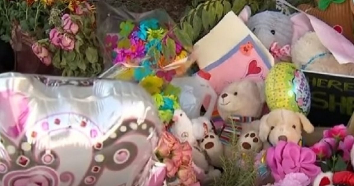 Missing Texas toddler Sherin Mathews draws support from crime experts