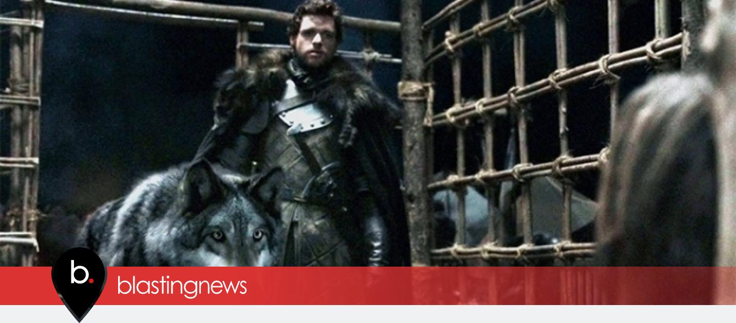 Juego de Tronos: Todo lo que no sabes sobre los lobos gigantes de los ...