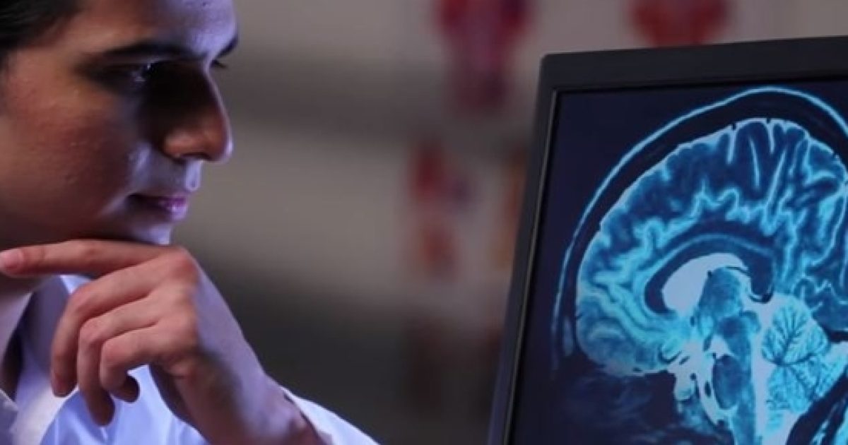 What happens to your brain when you die?