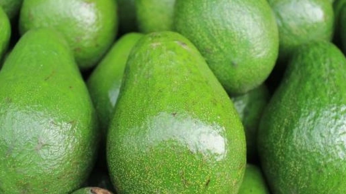 La dieta chetogenica di Zana Morris, come funziona