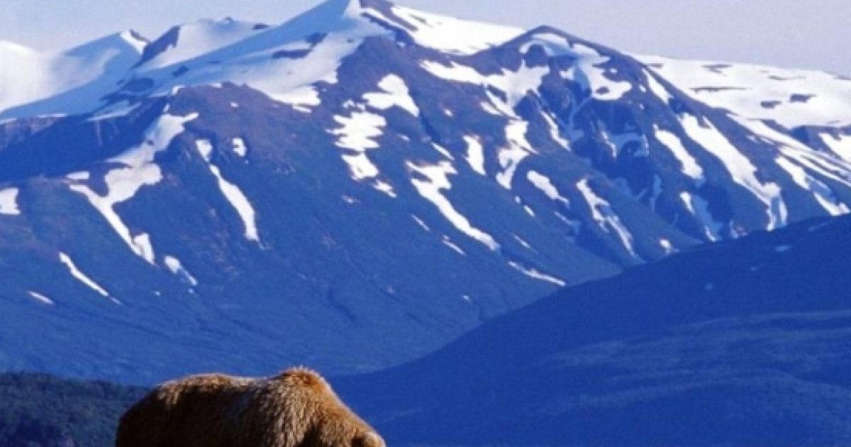 5 curiosidades surpreendentes sobre o Alasca que você provavelmente não ...