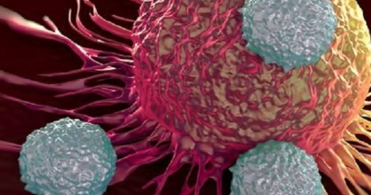 Scoperto l'alimento che distrugge le cellule tumorali