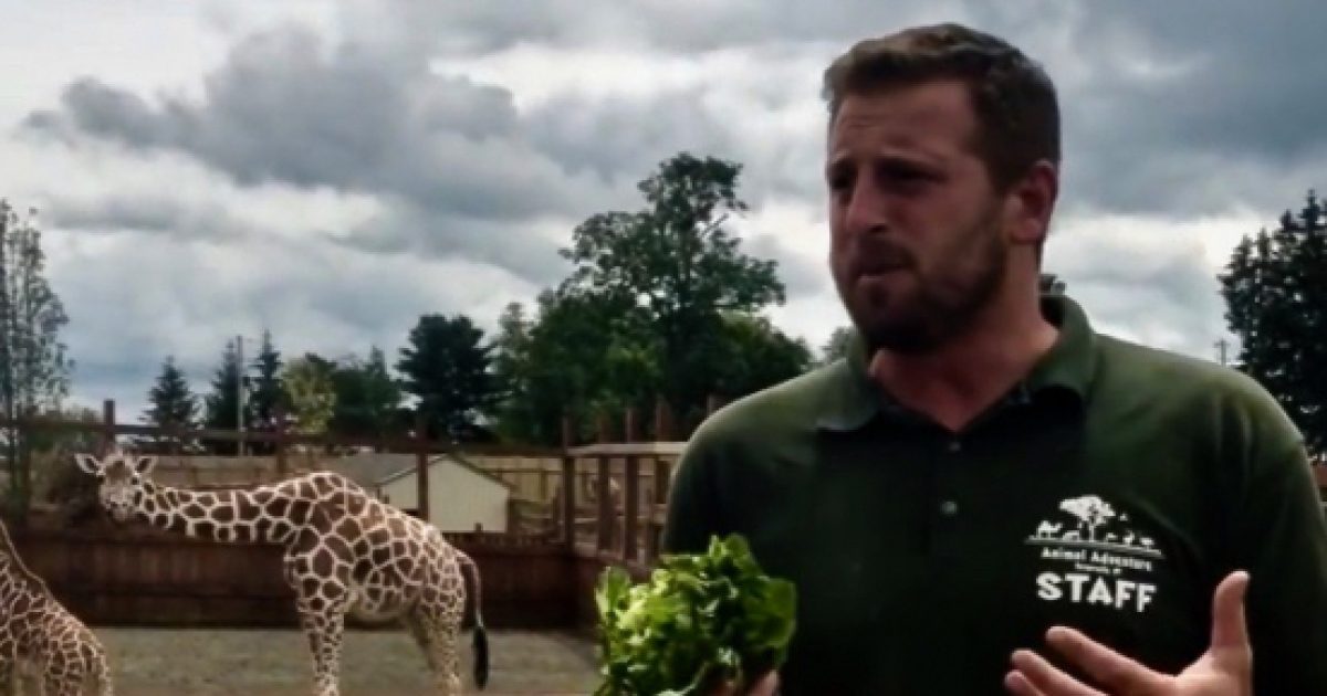 Another April the giraffe controversy: Jordan Patch strikes back at PETA