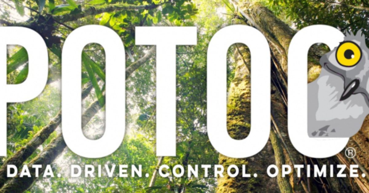 Catching Counterfeiters: How a company called Potoo protects Amazon and ...