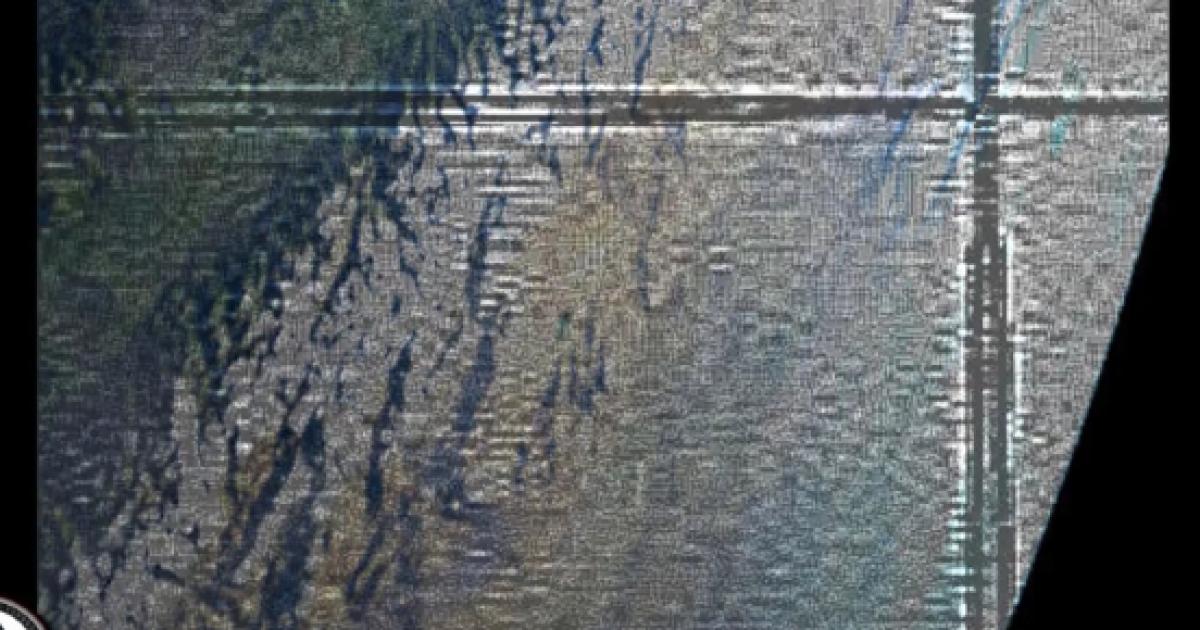 Who was Myziam? Was she really an alien or another internet hoax?