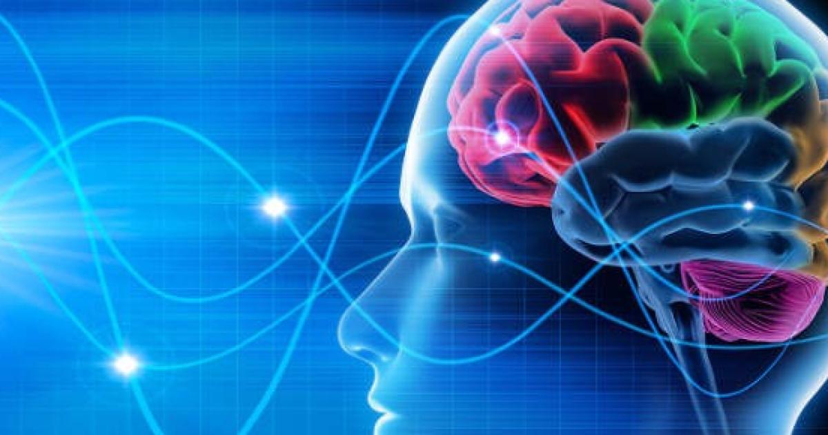 Neuroscienze e libero arbitrio: e se fosse tutto già deciso?
