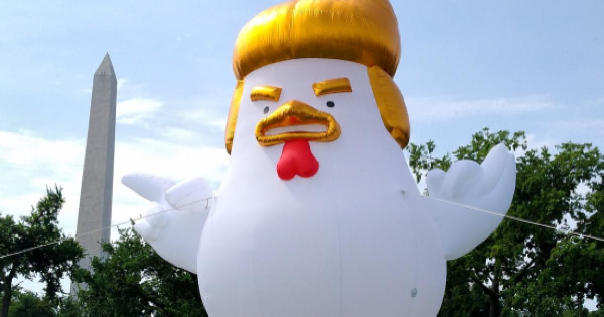 Trump administration eases killing of birds