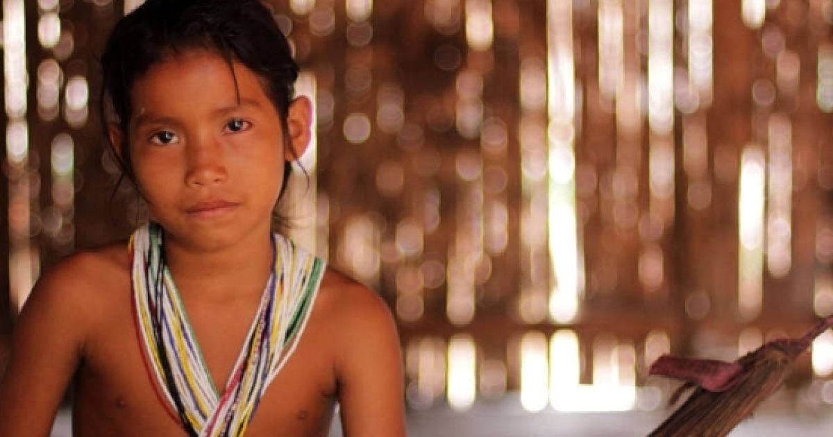 Ecco perché le conoscenze degli indigeni possono salvare il pianeta