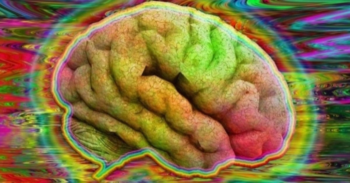 Psychedelic therapy gains traction as evidence based treatment for IPV
