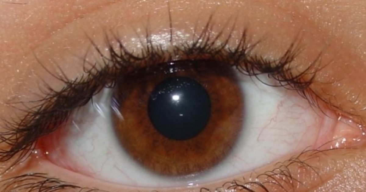 Se seus olhos são castanhos, saiba que característica lhe é surpreendente