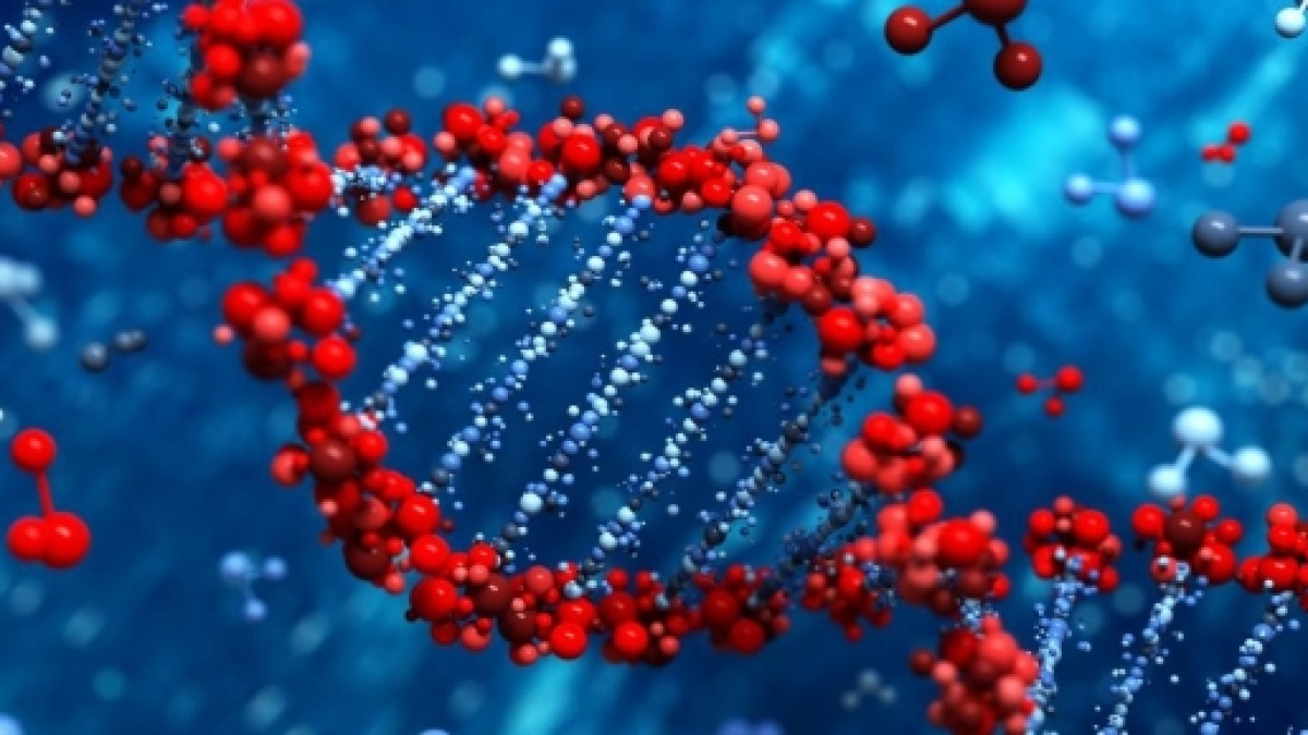 The transport of electrons is possible on DNA