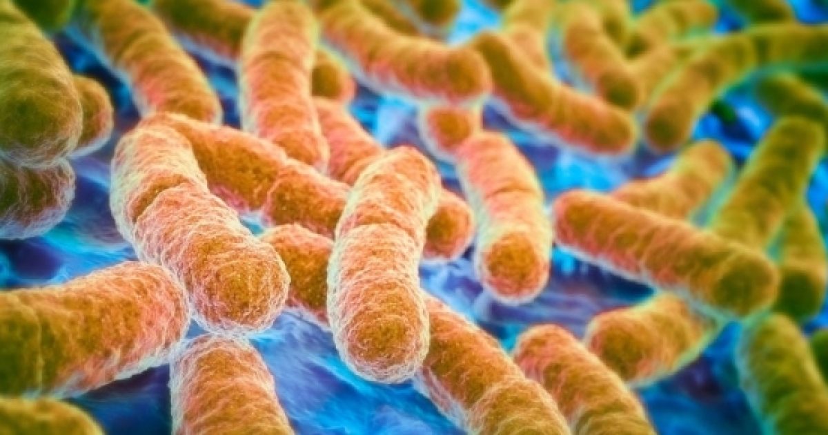 Superbug bacteria pose a threat to people and animals