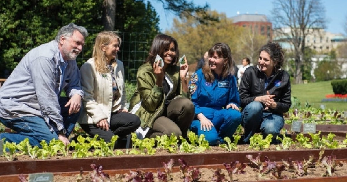 Potatoes can grow in Mars, confirms NASA backed experiments
