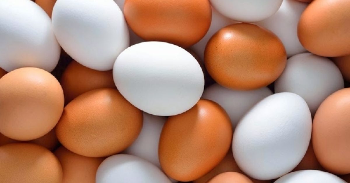 Confira mitos e verdades sobre o consumo do ovo