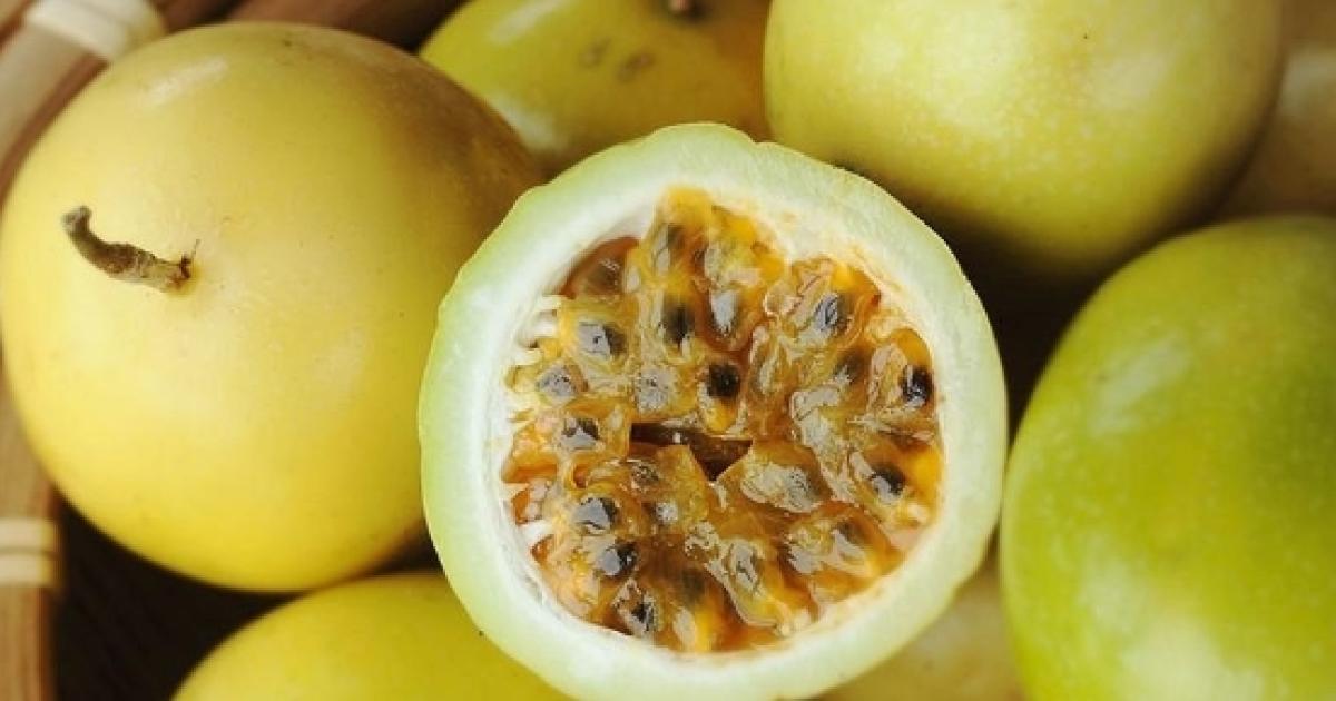 Tudo o que se precisa saber sobre maracujá