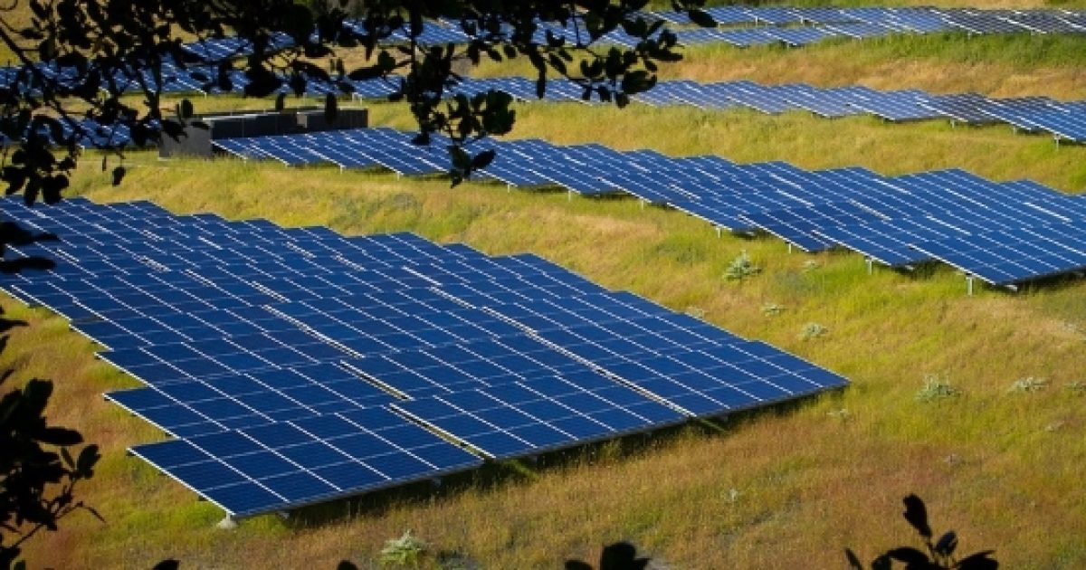 Tesla solar farm opens on Kauai